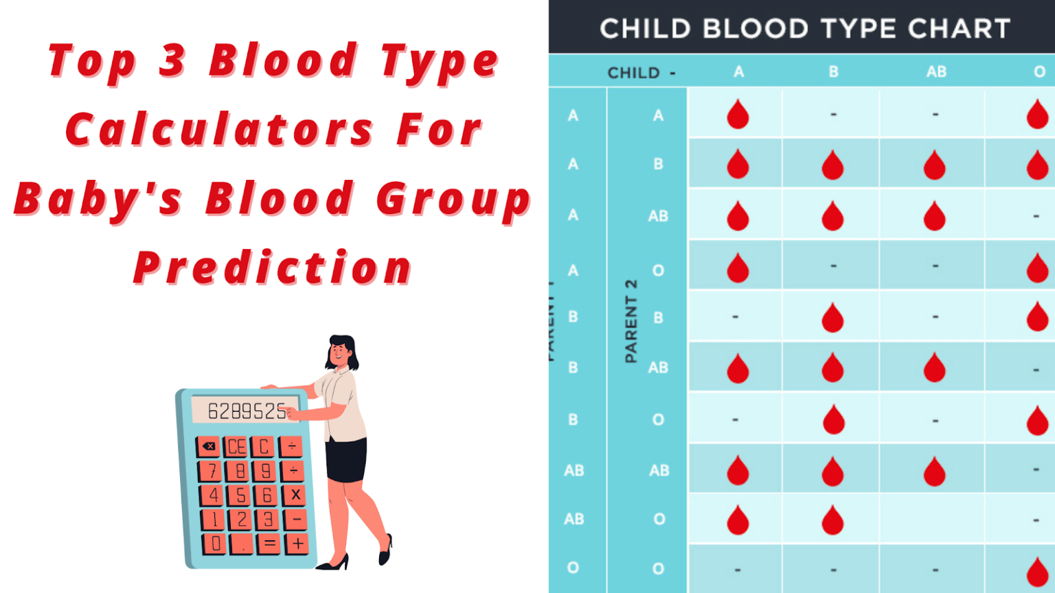 Top 3 Blood type calculator for baby's blood group prediction - Reemoshare